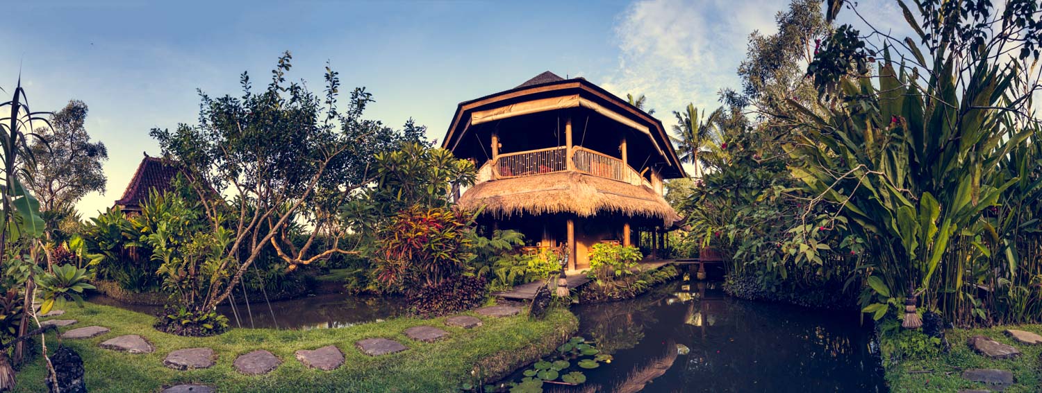 Dragonfly Café - dragonfly-village