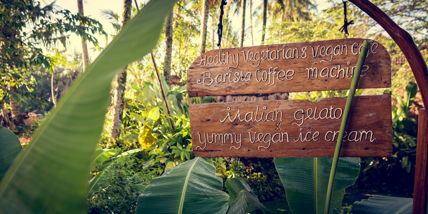 Dragonfly Café - dragonfly-village